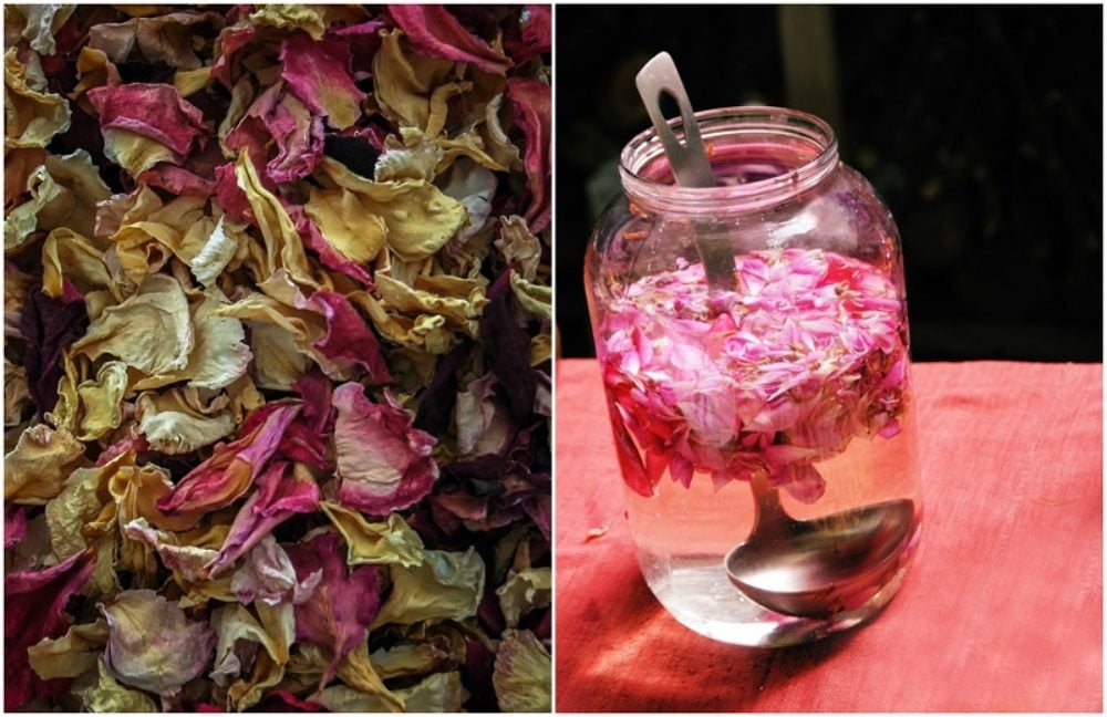 How To Make Your Own Rose Water & 14 Ways to Use It