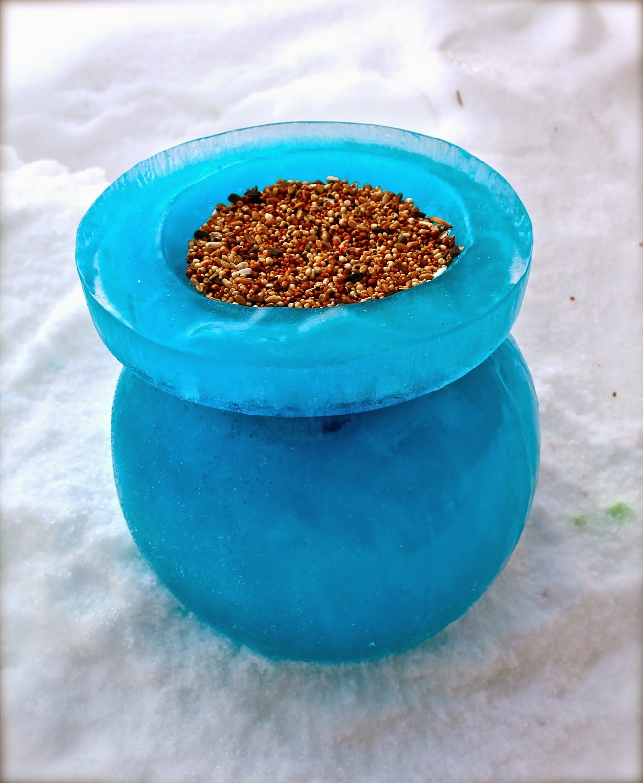 34 Incredible DIY Bird Feeders That Will Fill Your Garden With ...