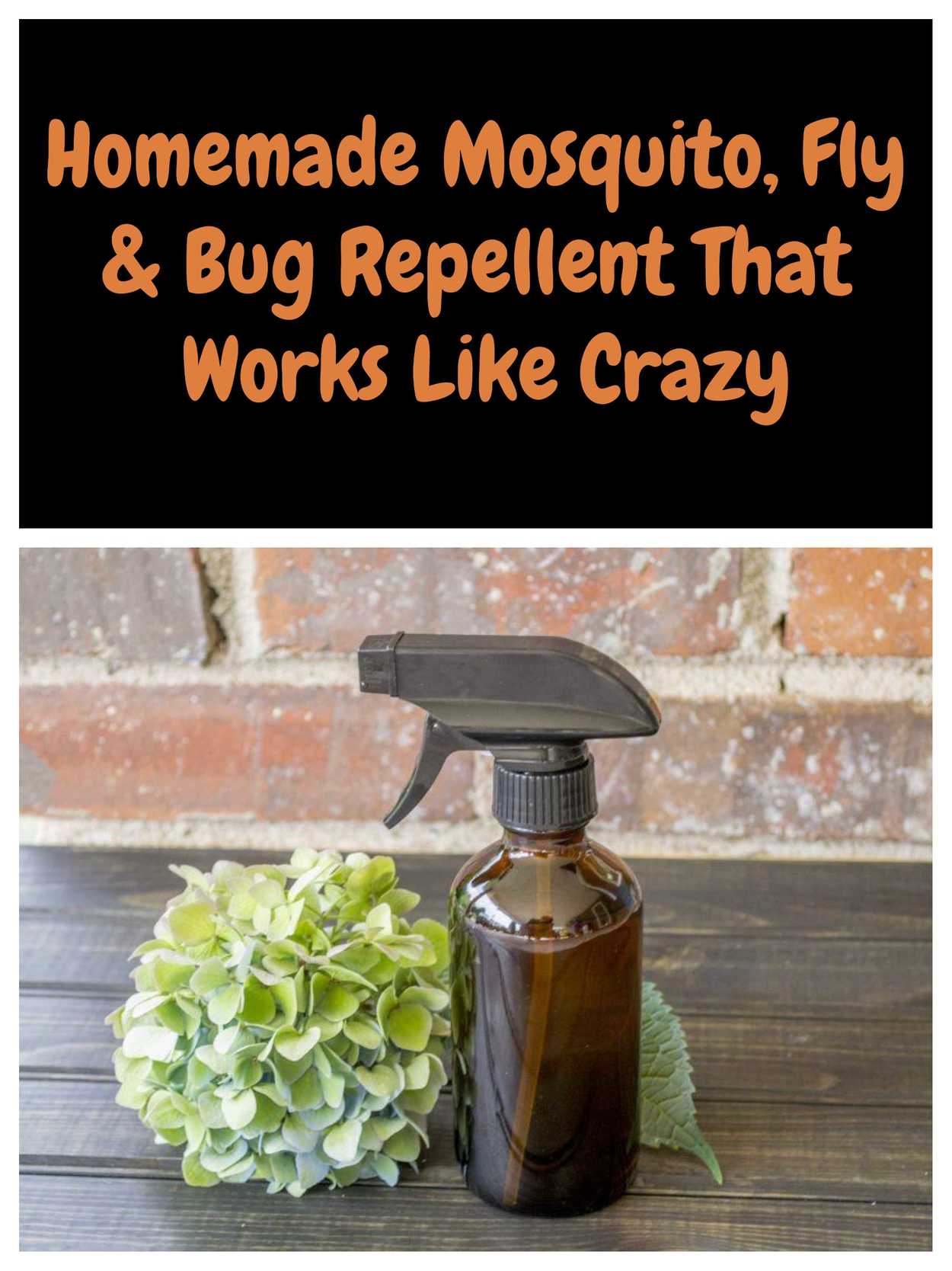 Homemade Mosquito, Fly & Bug Repellent That Works Like Crazy