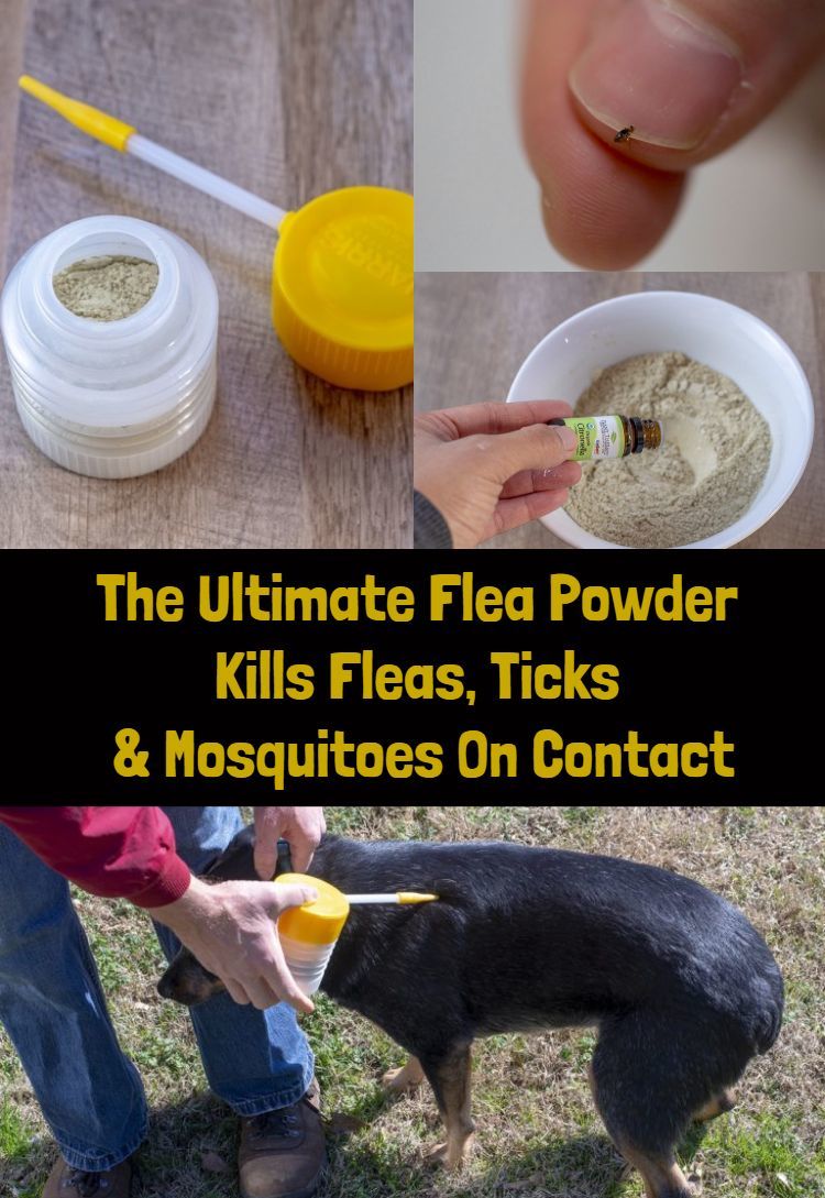 The Ultimate Flea Powder Kills Fleas, Ticks, Mosquitoes On Contact