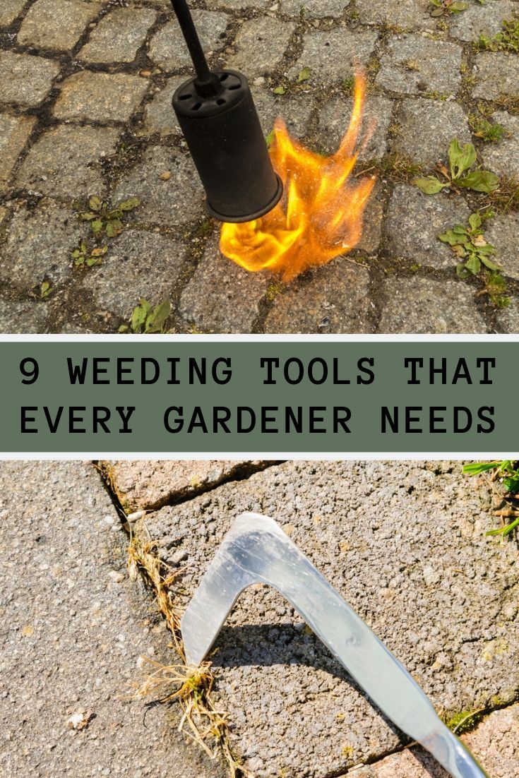 9 Weeding Tools That Every Gardener Needs