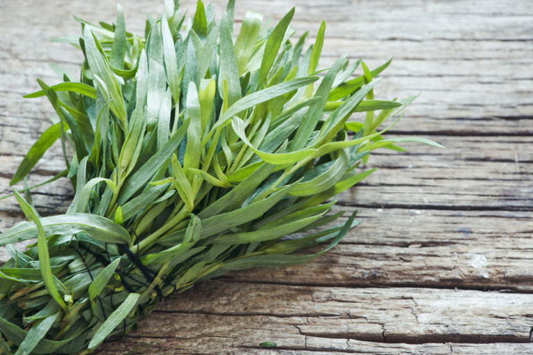 Top 12 Must-Have Herbs To Grow In Your Kitchen Garden