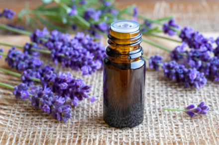 8 Unmistakable Signs Your Essential Oils Are FAKE