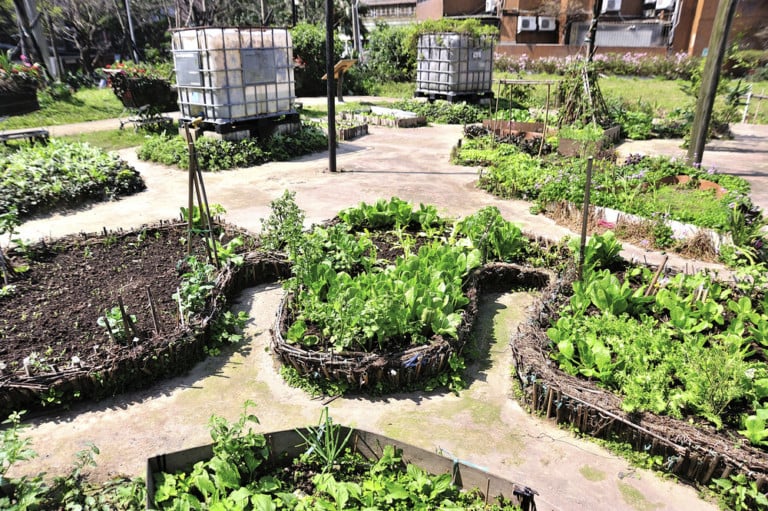 How To Build A Keyhole Garden & 7 Reasons Why You Should